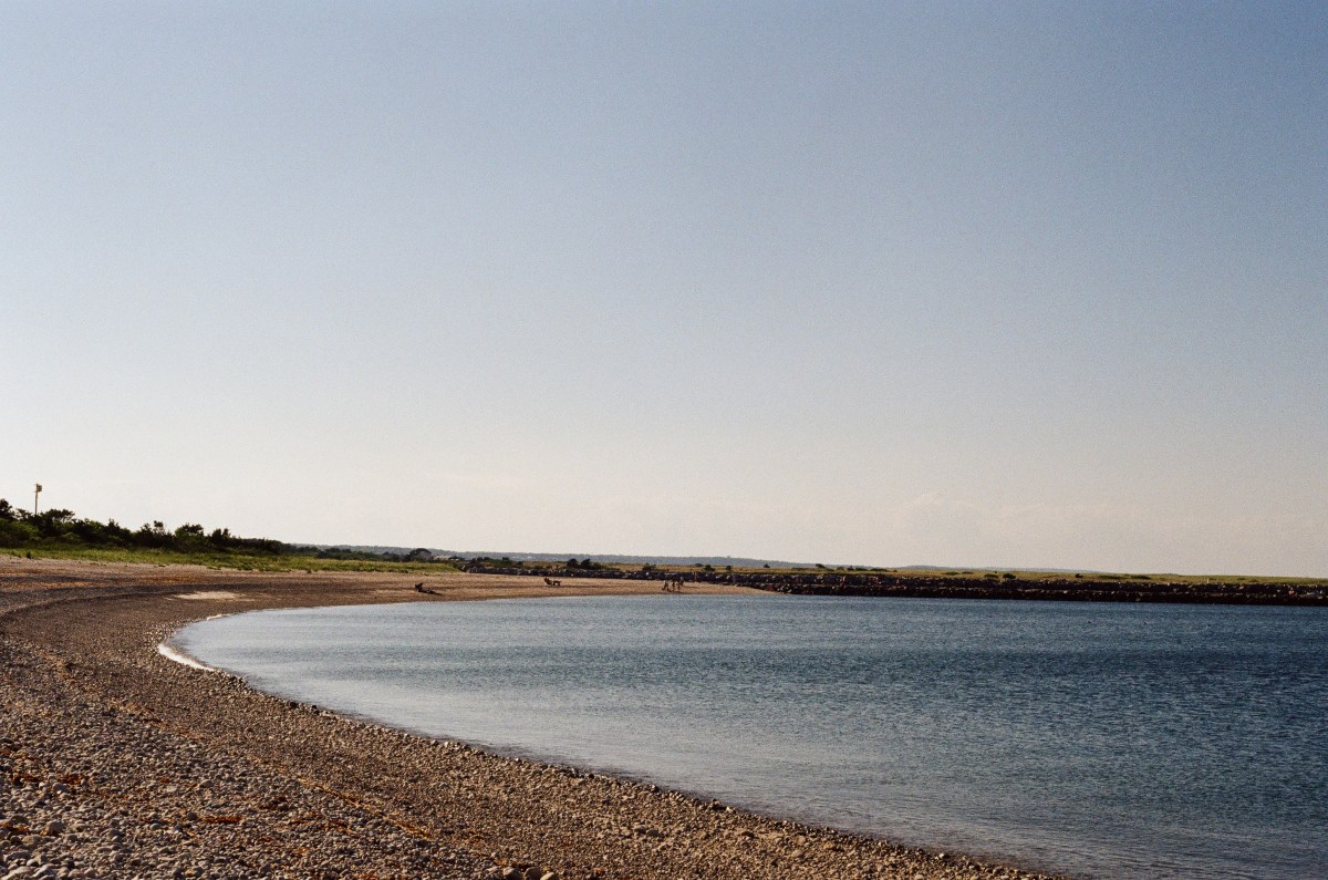 Quick Answers to 8 Questions Your Child Might Ask on Your Cape Cod ...